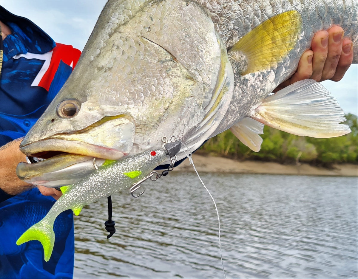 Fuze Seaducer Mullet – Tackleworld Coolalinga