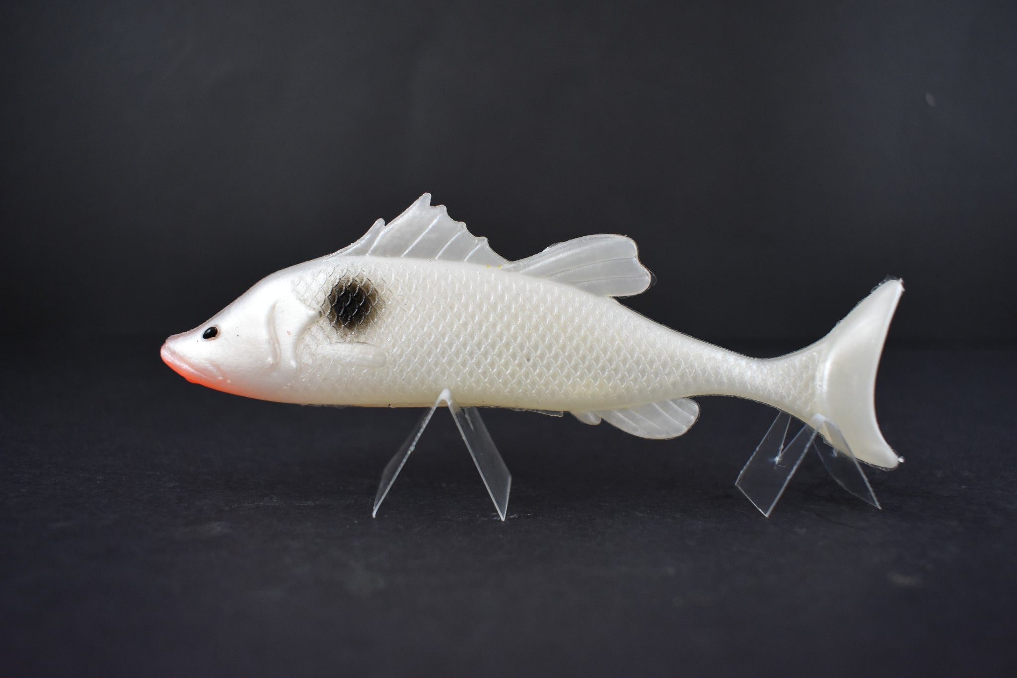 Fuze Bazza Bait – Tackleworld Coolalinga