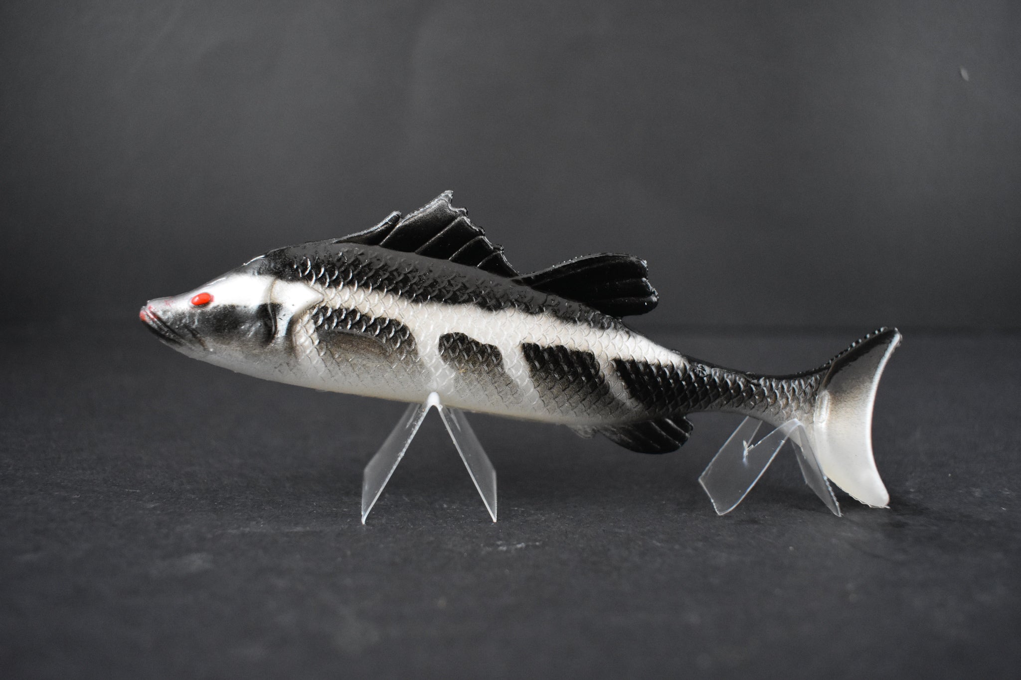 Fuze Bazza Bait – Tackleworld Coolalinga